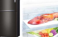 រីករាយនឹងភាពស្រស់នៃអាហារ ជាមួយទូរទឹកកក LG - TNAOT