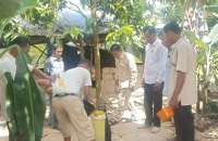 ជ្រូក ជាច្រើនក្បា ល នៅ ស្រុក អង្គរបុរី ចាប់ផ្តើម ងាប់ អាជ្ញាធរ បូមឈាមយក ទៅ វិភាគ - TNAOT