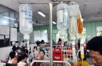 ជំងឺគ្រុនផ្តាសាយបក្សី H1N1 បន្តឆក់យកជីវិត ពលរដ្ឋមីយ៉ាន់ម៉ា កើន ៣៧នាក់ ទូទាំងប្រទេស - TNAOT