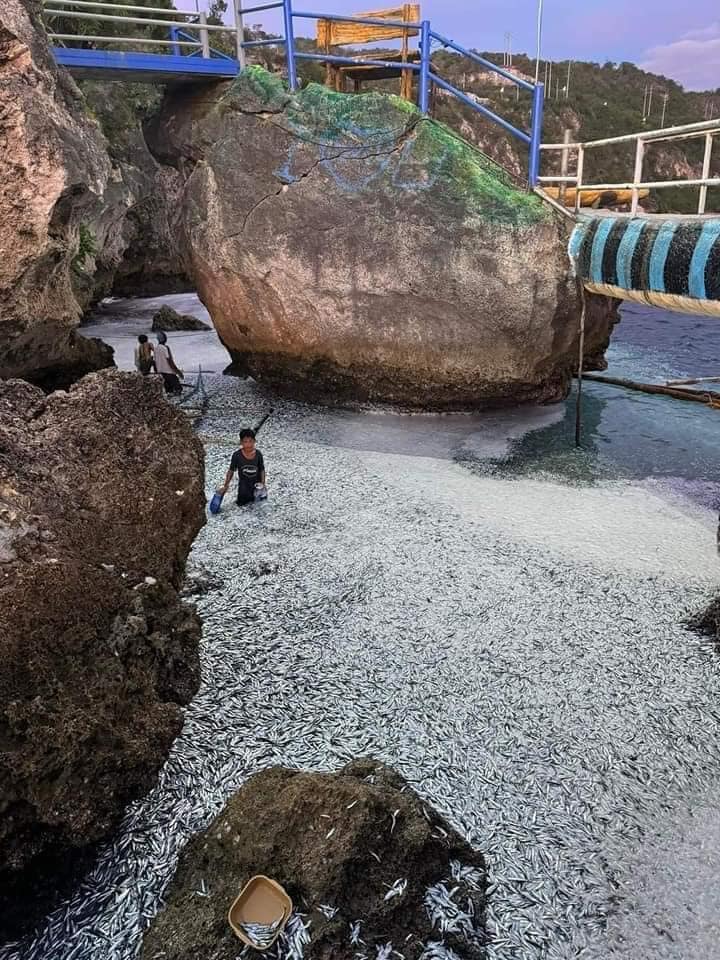 លោក Rick Kh ជួបរឿងនឹកស្មានមិនដល់ ខណៈពេលកំពុងទៅកម្សាន្តនៅប្រទេសហ្វីលីពីន - TNAOT