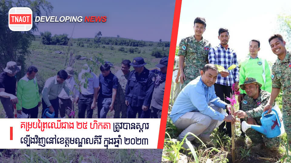 កូនឈើចំនួន ២៧.១២៥ដើម បានដាំនៅទីតាំងសំខាន់ៗចំនួន៥ ក្នុងខេត្តមណ្ឌលគិរី - TNAOT