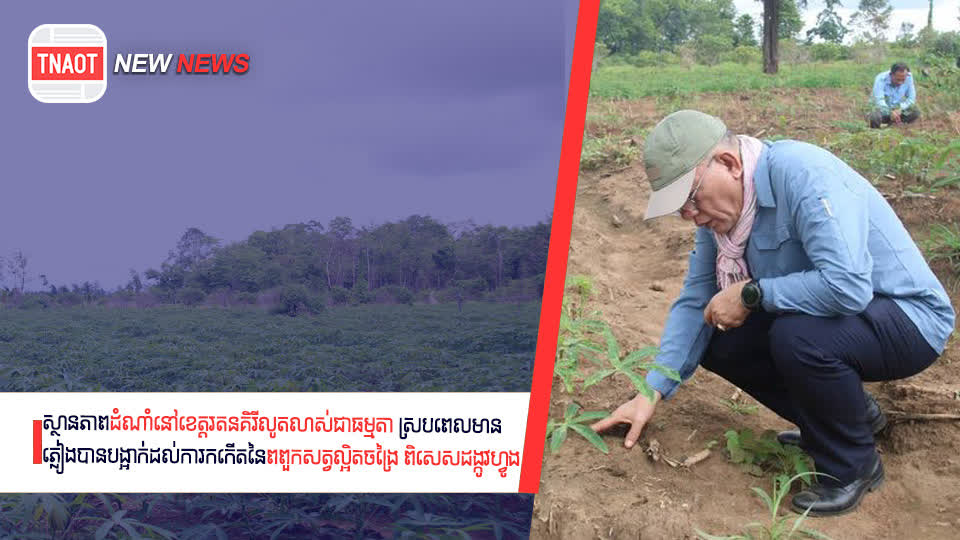 មន្រ្តីនៃក្រសួងកសិកម្ម ដឹកនាំមន្ត្រីជំនាញដើម្បីចុះពិនិត្យ ...