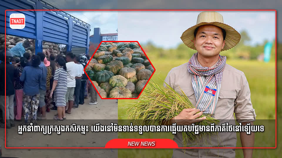 ក្រសួងកសិកម្ម ព្យាយាមចរចាជាមួយភាគីថៃនាំចេញផ្លែល្ពៅ ដែលកំពុងគ្មានទីផ្សារក្នុងខេត្តបាត់ដំបង - TNAOT