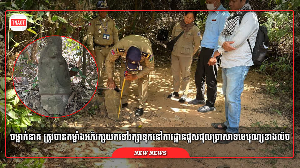 ប្រជាពលរដ្ឋប្រទះឃើញ ចម្លាក់នាគ ក្នុងព្រៃនៅចំណុចខាងត្បូងប្រាសាទមេបុណ្យខាងលិច - TNAOT